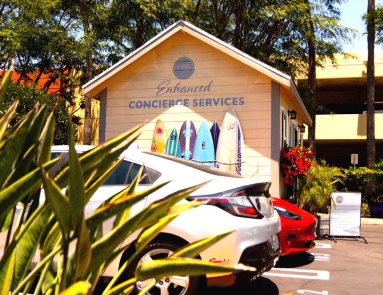 About - MBS Media Campus